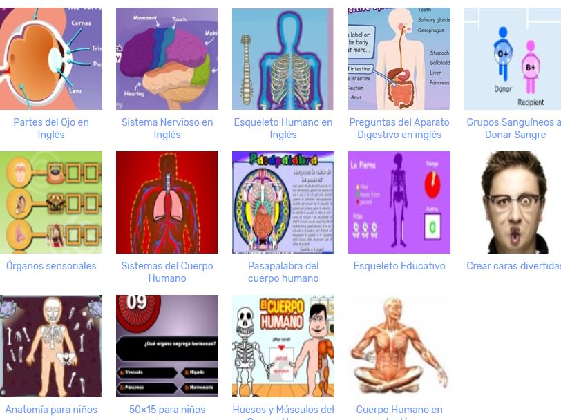 juegos-del-cuerpo-humano – COKITOS
