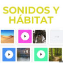 Juegos de SONIDOS – COKITOS